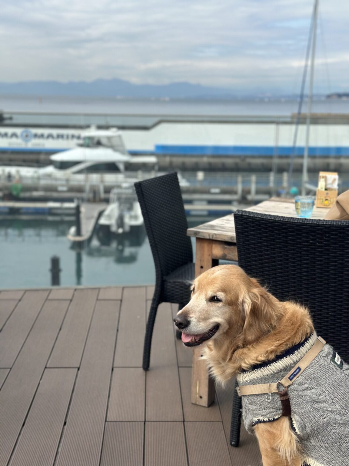 Miura strawberries & Kamakura-Zushi strawberry sweets